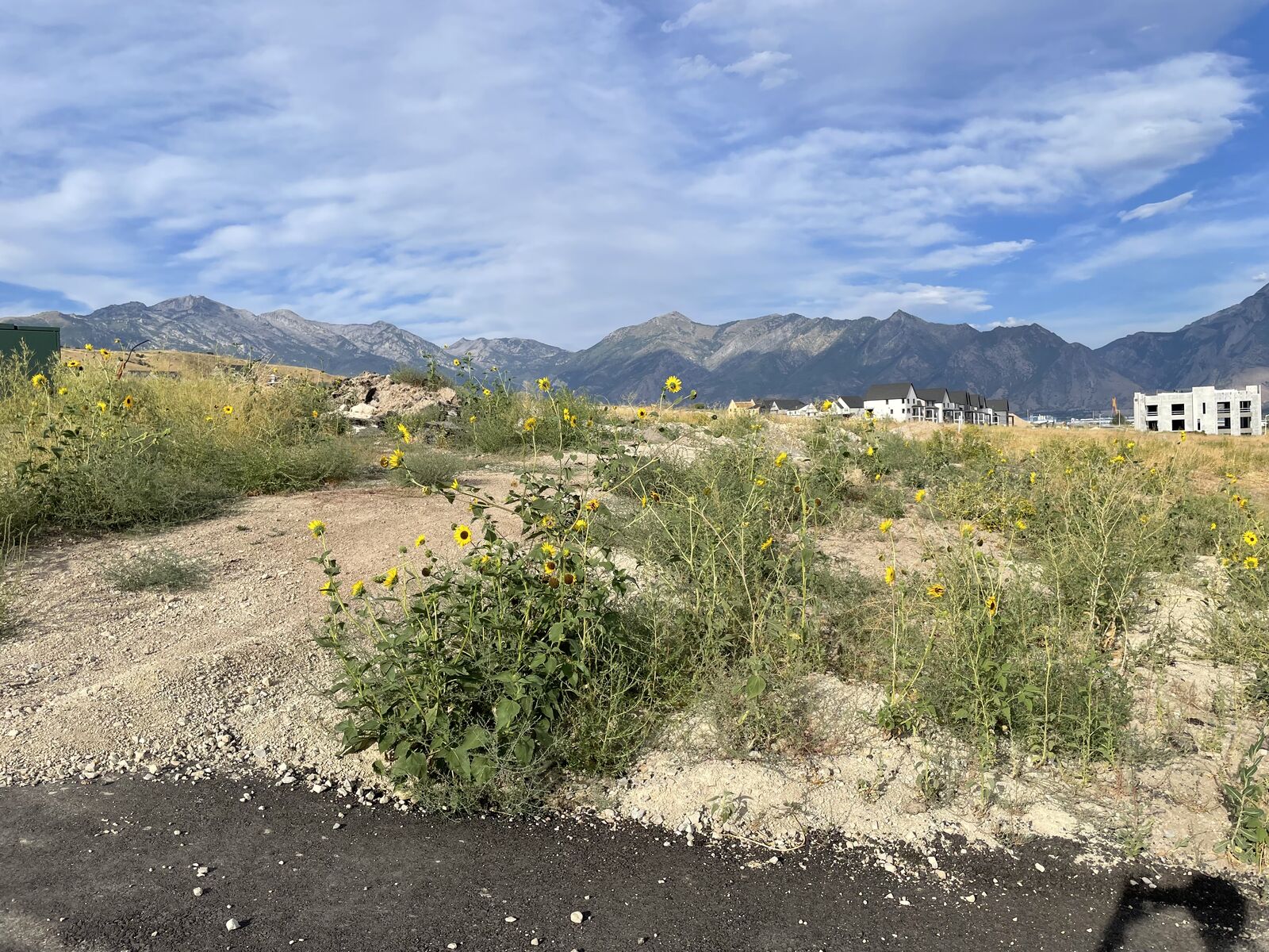 Lehi Utah Temple Photograph Gallery | ChurchofJesusChristTemples.org